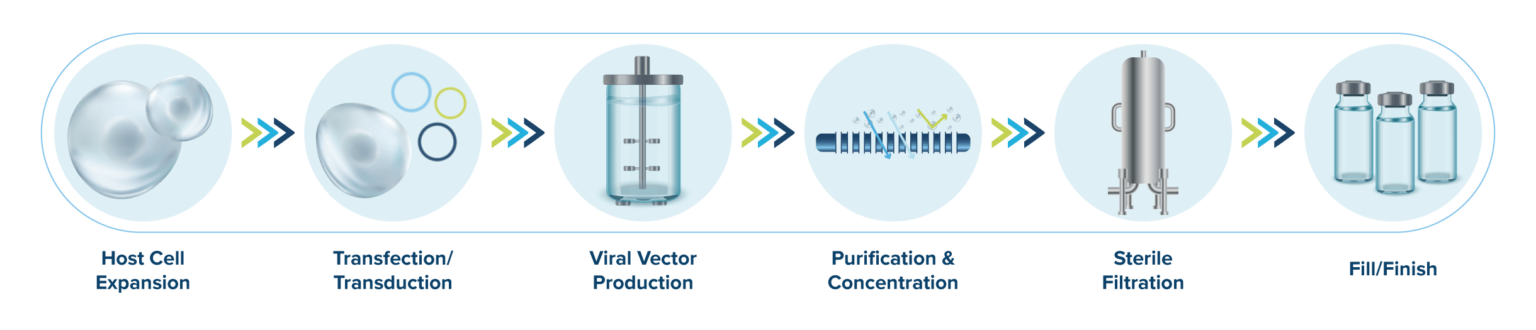 Process Development | Matica Biotechnology