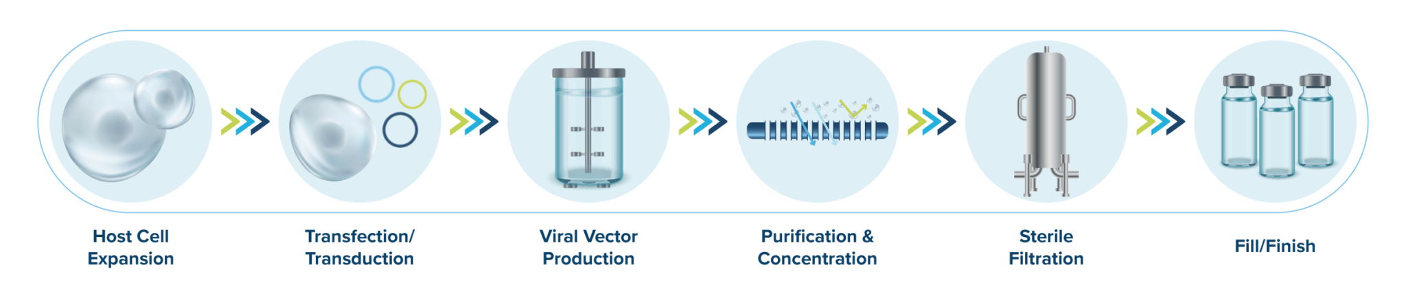 Process Development | Matica Biotechnology