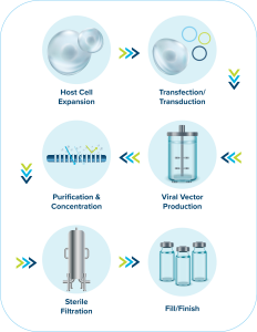 Process Development | Matica Biotechnology